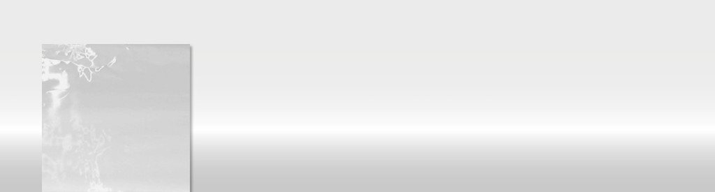 ALU Blister - scanware